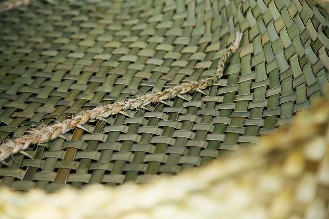 Wānangatia Te Wahakura: Weaving Wellbeing for Mokopuna and Whānau ...