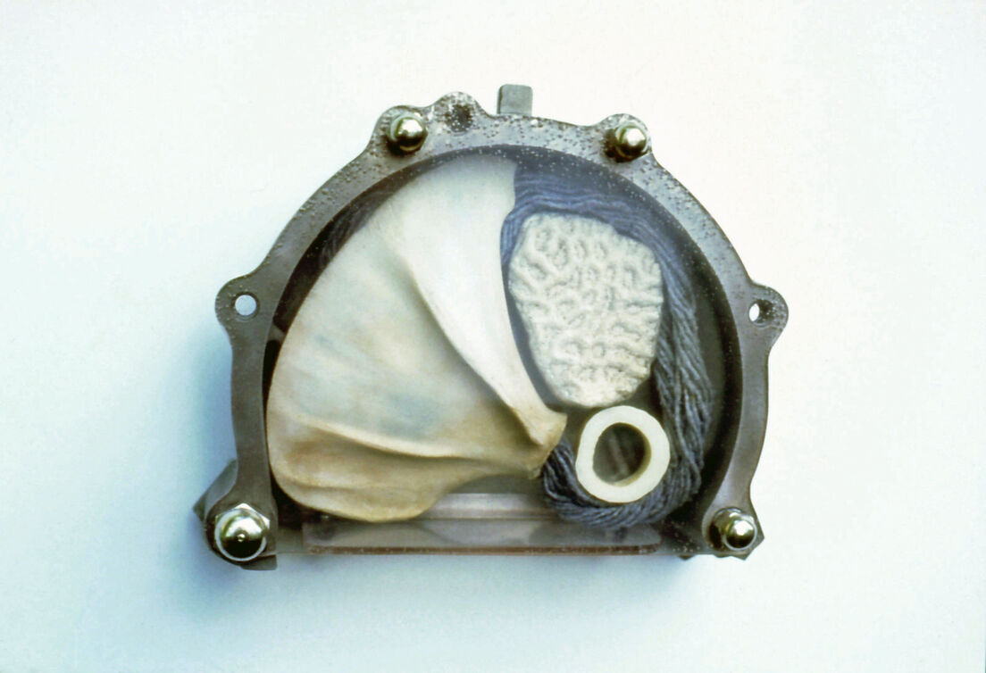 Eléna Gee: World/Body/Myth Excerpts from the archive of a jewellery ...