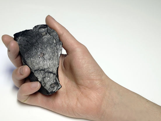 Animacy: Beatrice Brovia & Nicolas Cheng interview — Objectspace