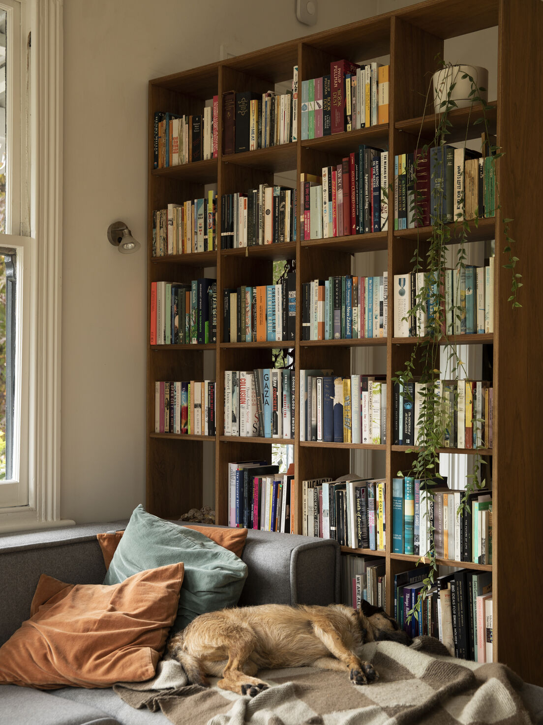 At Home and in the Studio: David Straight — Objectspace