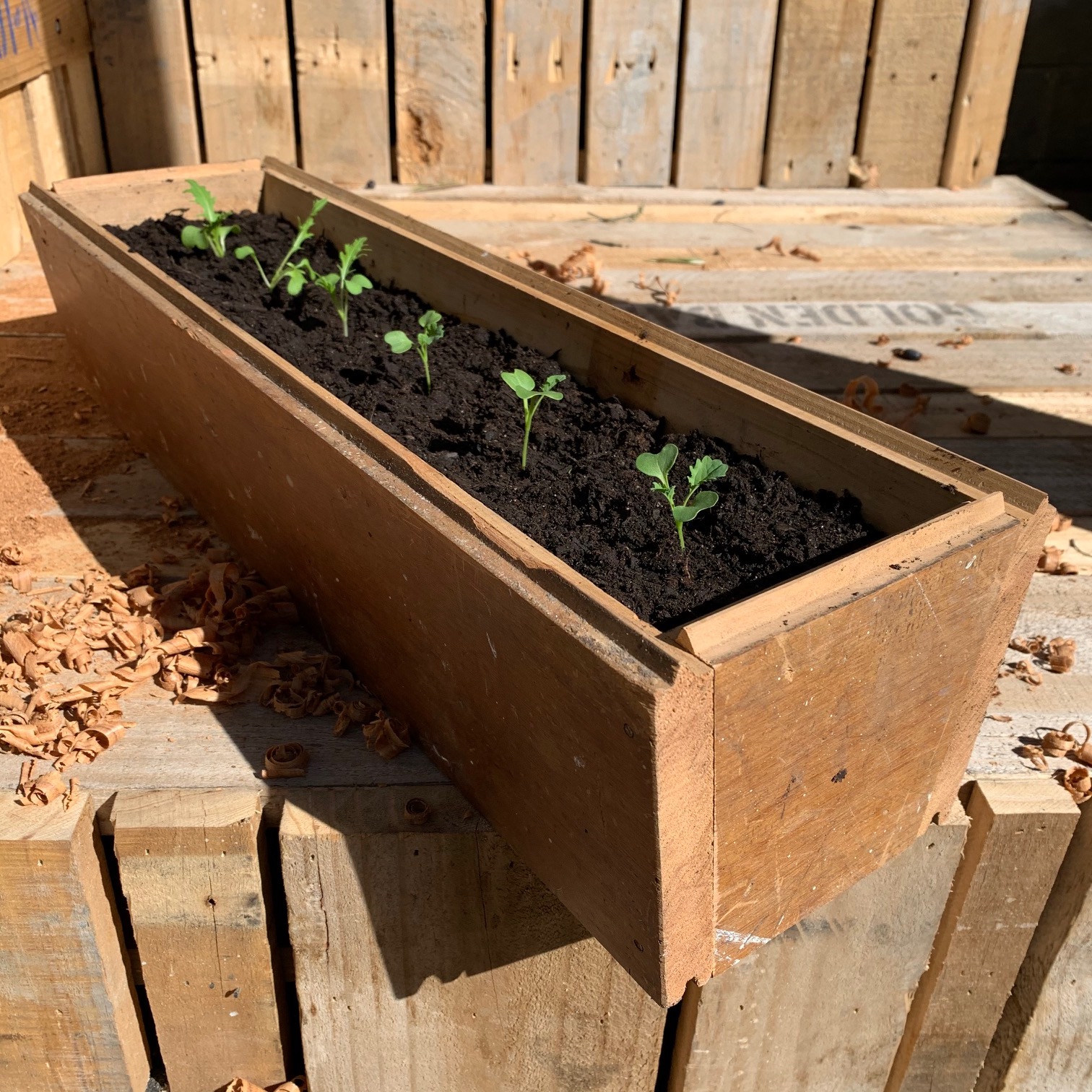How to: A Maker's Guide - Build a Planter Box — Objectspace