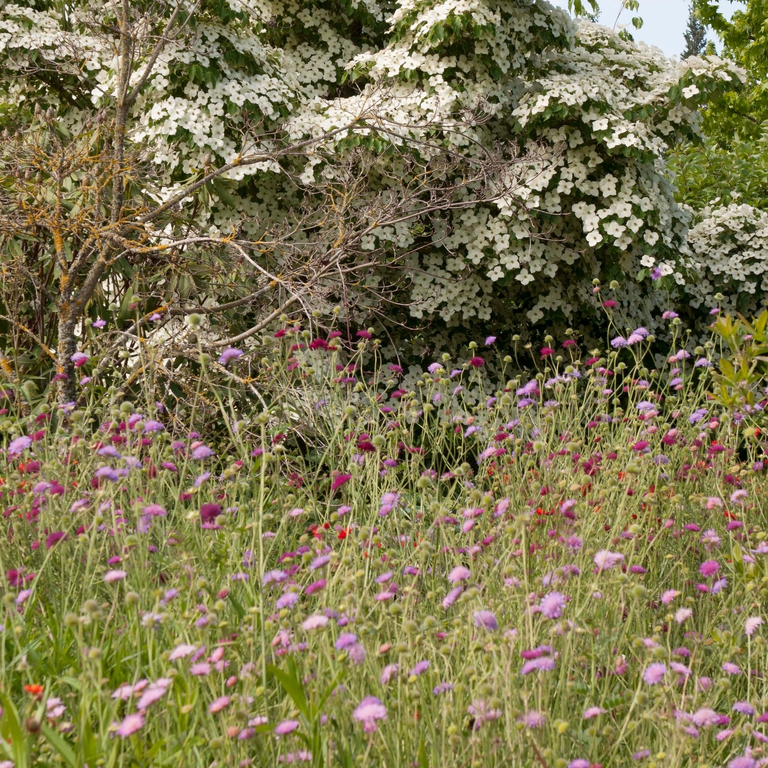Pondside I wish I’d made that: Garden envy with local architects and ...