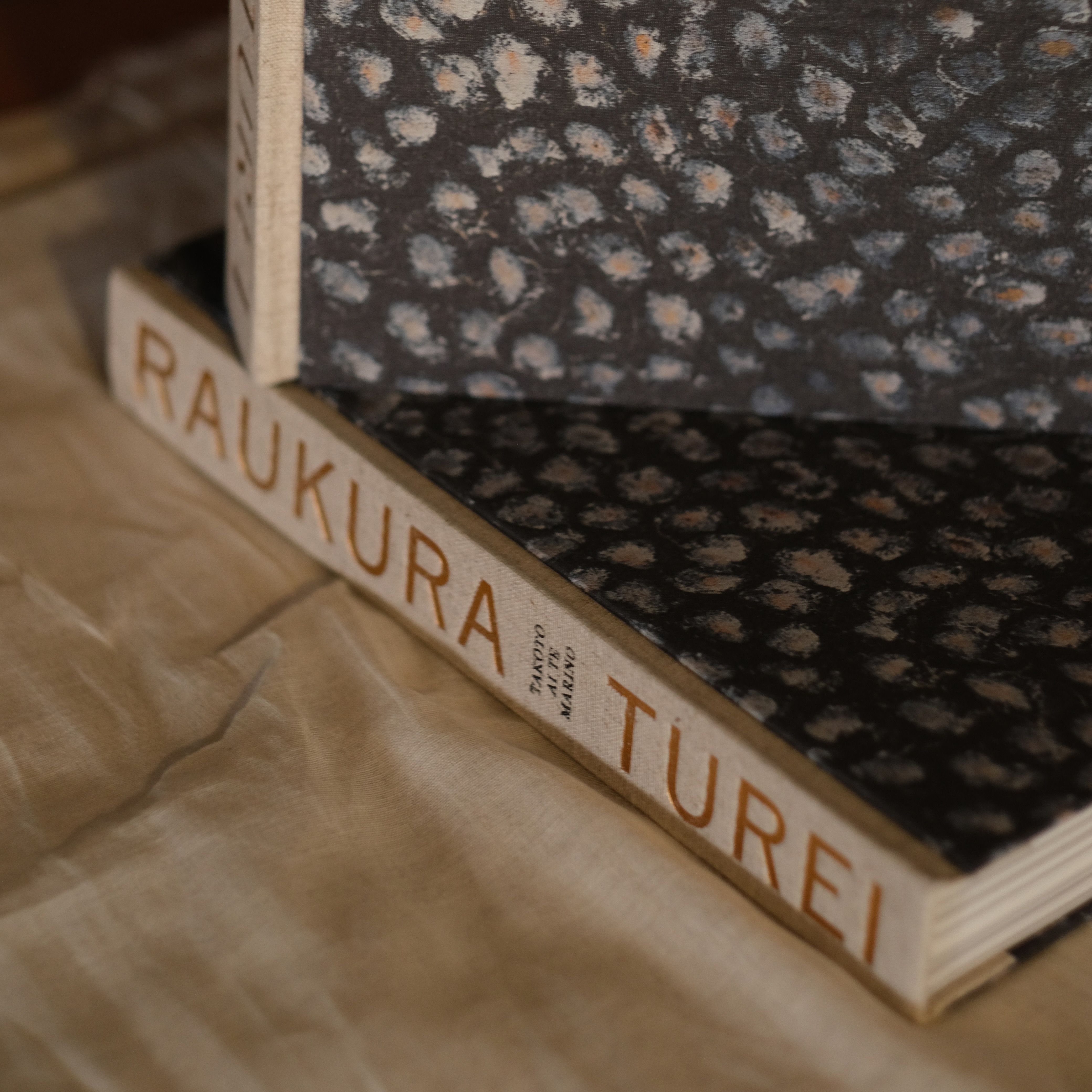 Book launch: Raukura Turei, Takoto ai te Marino: a monograph of ...