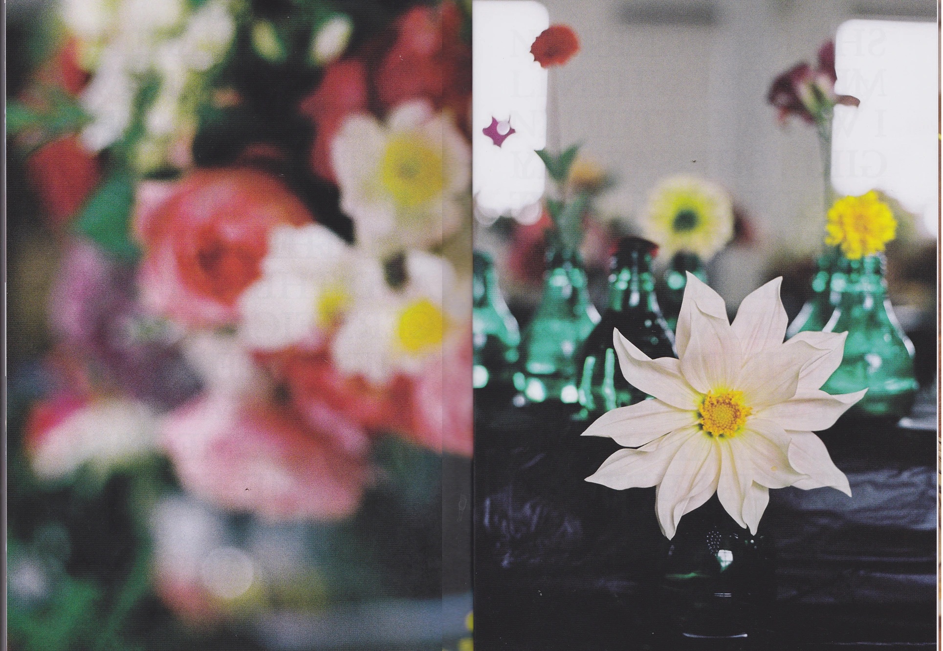 Pondside: Living Room library — Objectspace